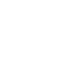 Lingyi iTECH (002600.SZ) - Revenue