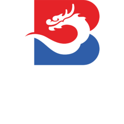 LB Group (LomonBillions) (002601.SZ) - Revenue