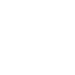 Estun Automation (002747.SZ) - Revenue