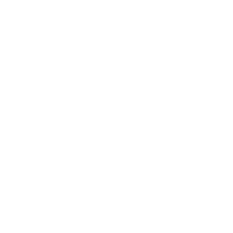 Korean Air Lines (003495.KS) - Market capitalization