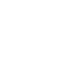 Geely - Annual Reports