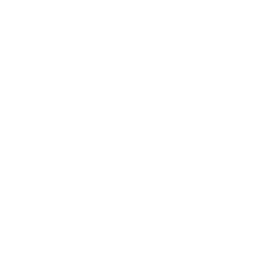 LG Chem (051910.KS) - Market capitalization