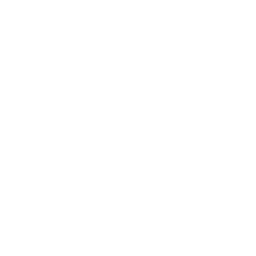 Xinyi Glass Holdings (0868.HK) - Revenue