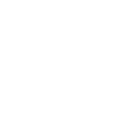Genscript Biotech (1548.HK) - Revenue