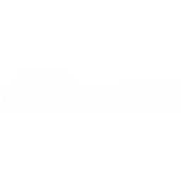 Alujain Corporation (2170.SR) - P/S ratio