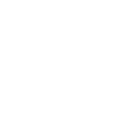 Fourth Milling (2286.SR) - Shares outstanding