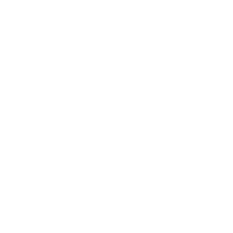 Foxconn (Hon Hai Precision Industry) (2317.TW) - Stock price history