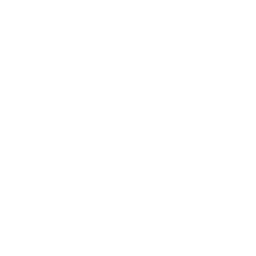 Chroma ATE Inc. (2360.TW) - Revenue