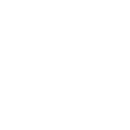 MSI (Micro-Star International) (2377.TW) - P/B ratio