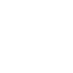 Quanta Computer (2382.TW) - Revenue