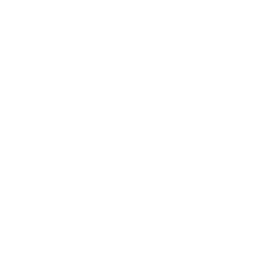 SBS Holdings (2384.T) - Total assets