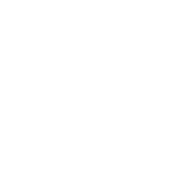 ARIAKE JAPAN (2815.T) - Dividend Yield