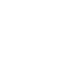 Eoptolink Technology (300502.SZ) - Market capitalization