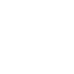 The Japan Wool Textile Co., Ltd. (Nikke Group) (3201.T) - Dividends