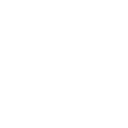 OPTiM (3694.T) - Cash on Hand