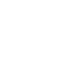 Rakus Co., Ltd. (3923.T) - P/S ratio