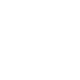 3i Infotech (3IINFOLTD.NS) - Market capitalization