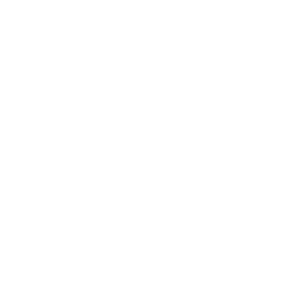 Shikoku Kasei Holdings Corp (4099.T) - P/B ratio