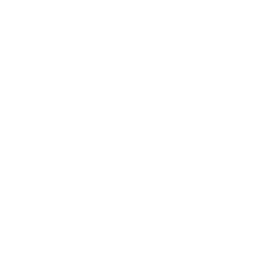 Sumou Real Estate Company (4323.SR) - Market capitalization