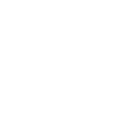 Bank of Innovation (4393.T) - Stock price history