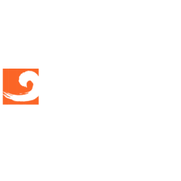 Shandong Gold Mining (600547.SS) - Market capitalization