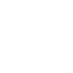 Seres Group (601127.SS) - Market capitalization