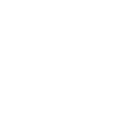 360 Security Technology (601360.SS) - Stock price history