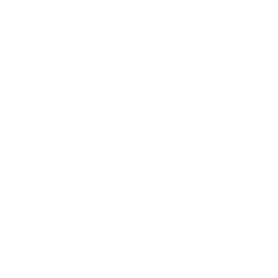 Smc Corp Annual Reports