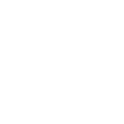 Silergy (6415.TW) - Revenue