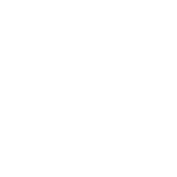 Brother Industries (6448.T) - Revenue