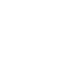 Kokusai Electric (6525.T) - Stock price history