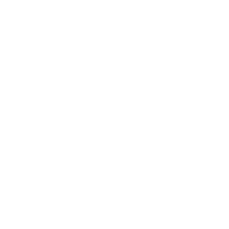 Renesas Electronics (6723.T) - Revenue