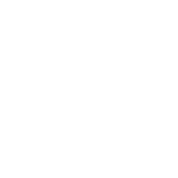 Cambricon Technologies (688256.SS) - Stock price history