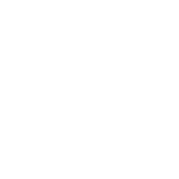 Smoore International Holdings (6969.HK) - Revenue