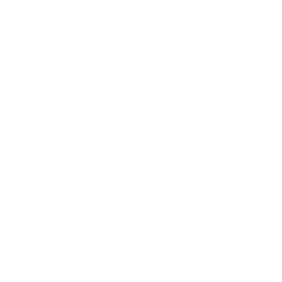 Canon - Annual Reports