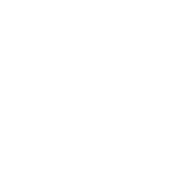 UBTECH Robotics (9880.HK) - Coût d'emprunt