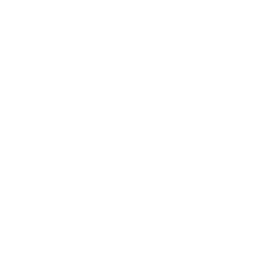 ARN Media (A1N.AX) - P/S ratio