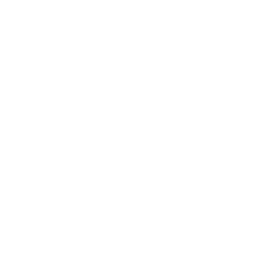 Aumann AG (AAG.DE) - Market capitalization