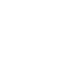 ACEA (ACE.MI) - Dividends