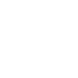 Adicet Bio (ACET) - P/S ratio