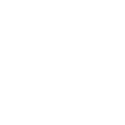 Arch Capital (ACGL) - Net Assets