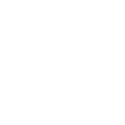ACI Worldwide (ACIW) - Revenue