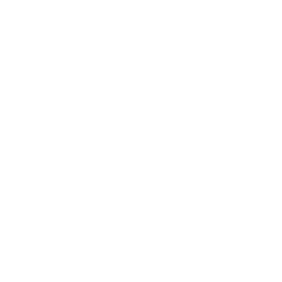 ACM Research (ACMR) - Market capitalization