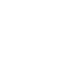 American Equity Investment Life Holding (AEL) - Total assets