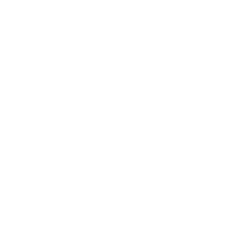 AES (AES) - Revenue