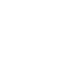 Australian Foundation Investment Company (AFI.AX) - Dividend Yield