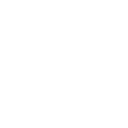 Aspen Insurance (AHL) - Shares outstanding