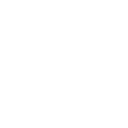 iLearningEngines (AILE) - Market capitalization