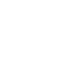 Alarum Technologies (ALAR) - Market capitalization