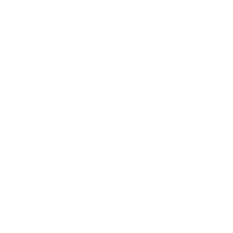 Allakos (ALLK) - Total assets